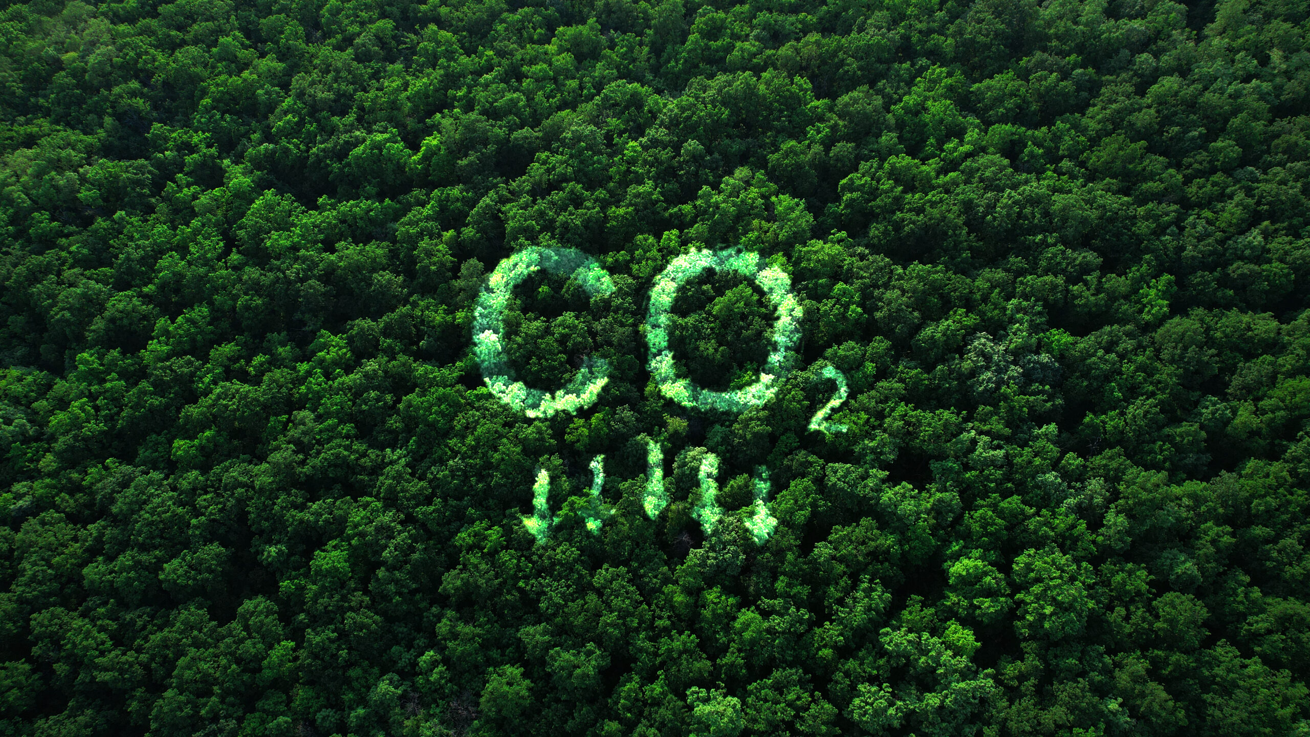 Decarbonisation in the industry – why is it so important? - ETS Group ...